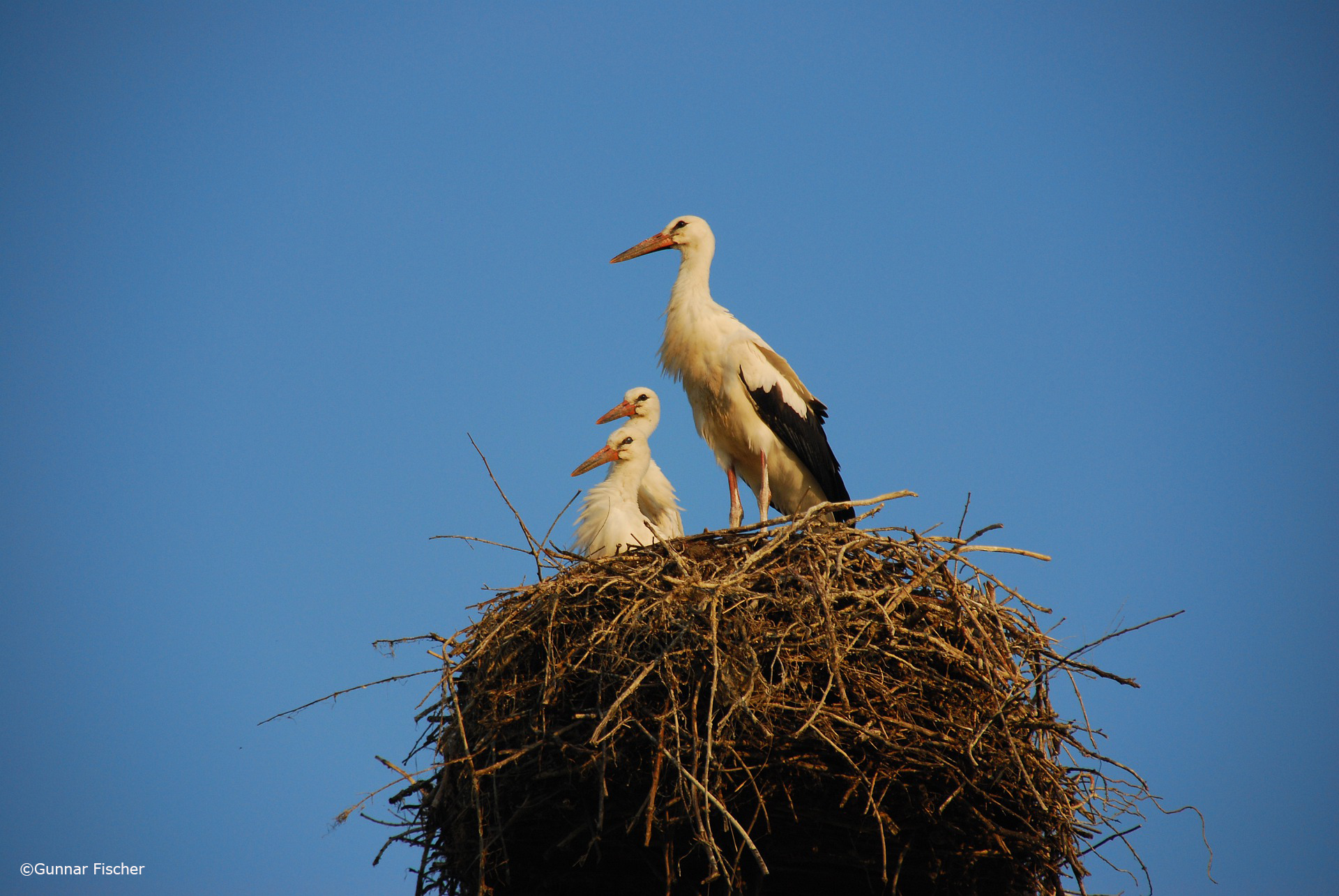 What can you do in the Algarve? A lot more than you think! | Blog