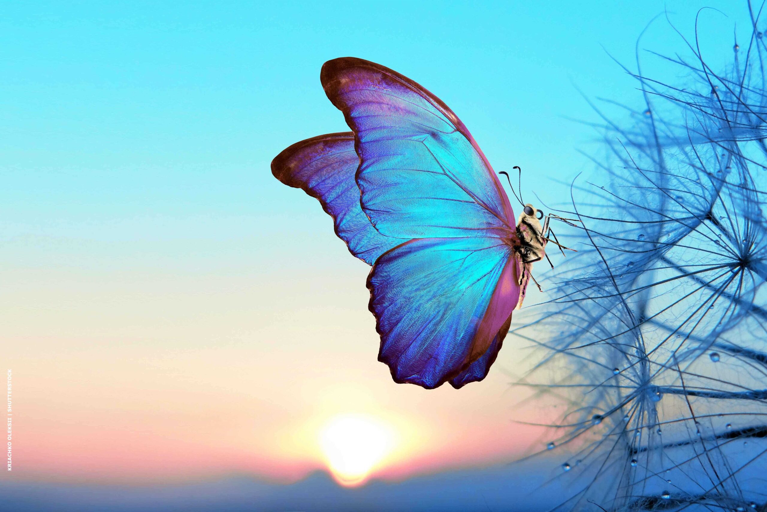 Unwind with nature or at the track | Blog